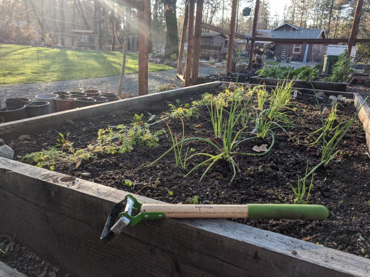 Nia's Harvest Gardens – Gardening is easier than you think. Simple and ...